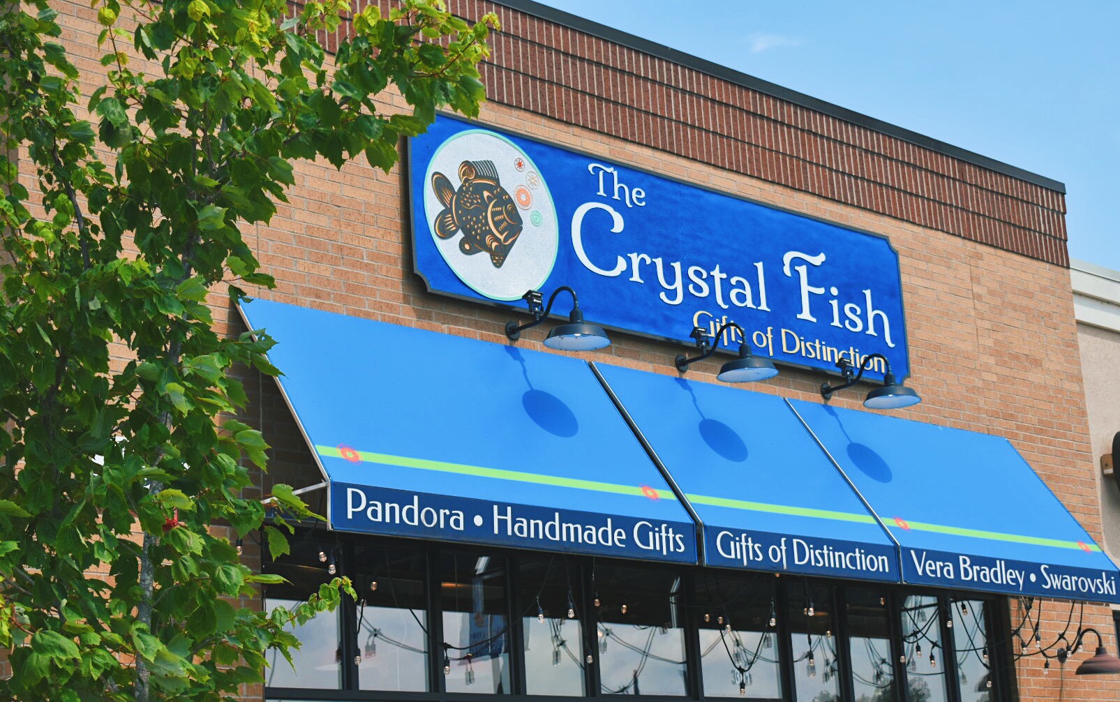 Local Spotlight: The Crystal Fish - Gifts of Distinction - RIG Powered ...